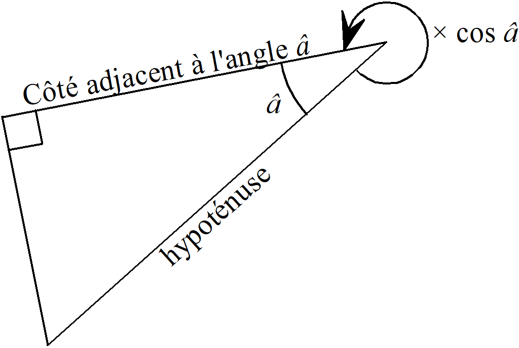 Cosinus d'un angle aigu dans un triangle rectangle