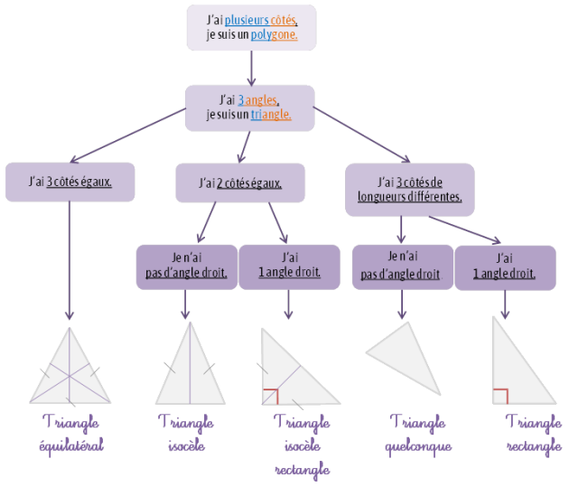 1. Propriétés des triangles usuels